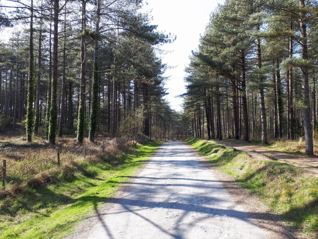 Newborough Forest Warren - Visit Anglesey