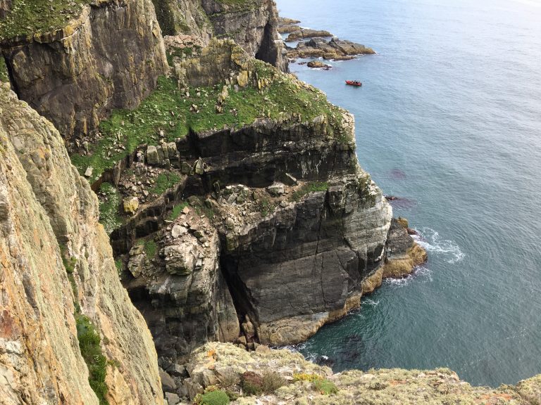 Angleseyisle's guide to visiting South Stack RSPB in Anglesey
