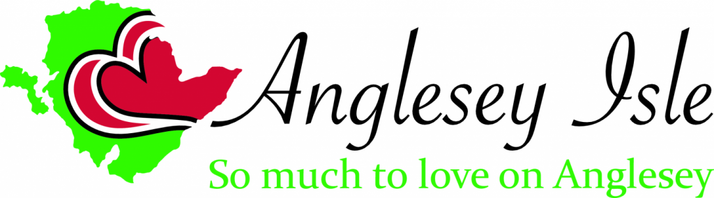 Angleseyisle's guide to bird watching in Anglesey, check it out now.