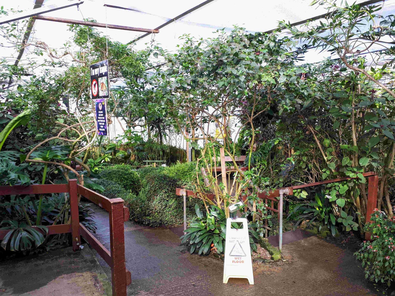 Pili Palas Nature World - Visit Anglesey