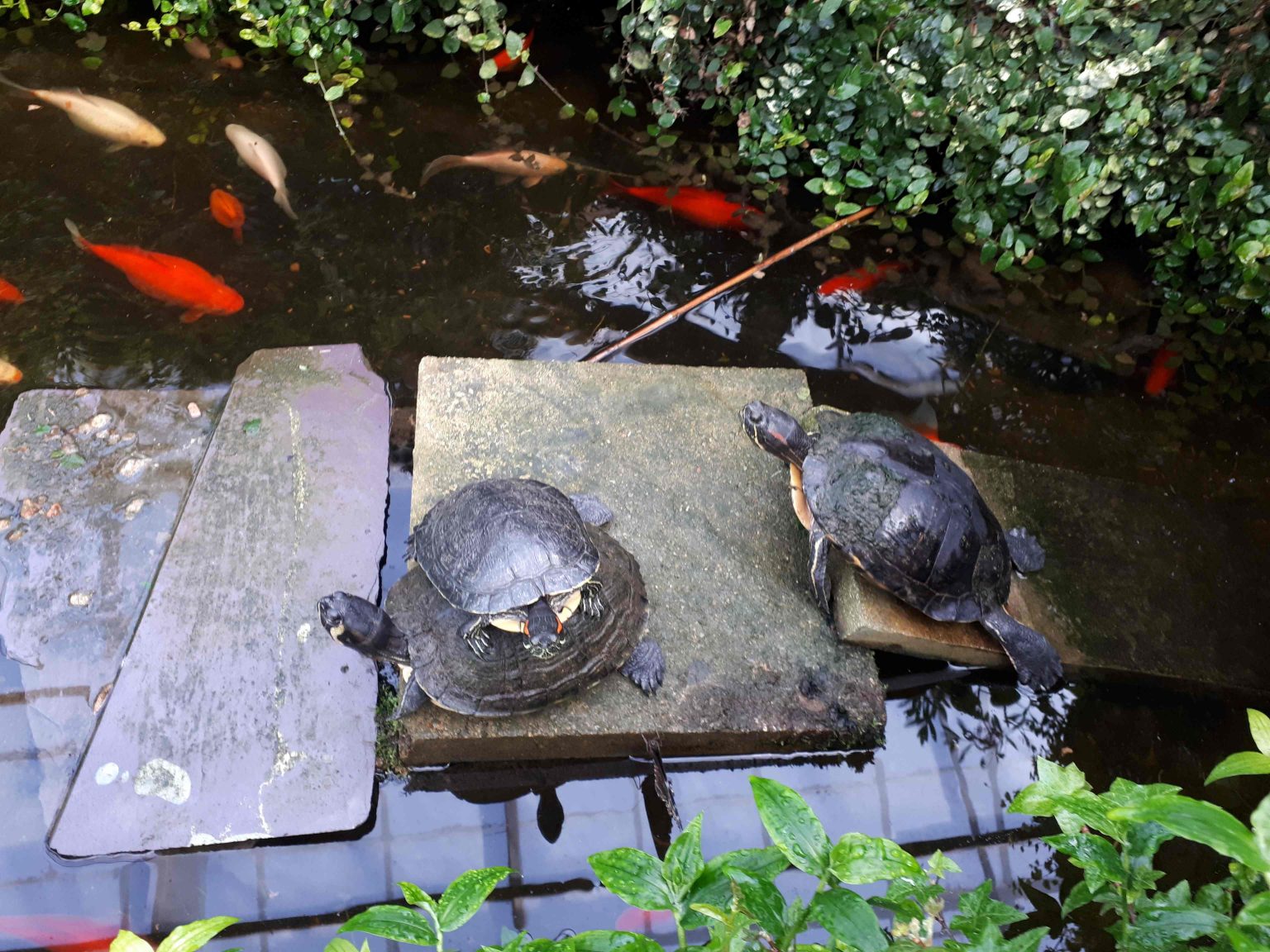 Pili Palas Nature World - Visit Anglesey