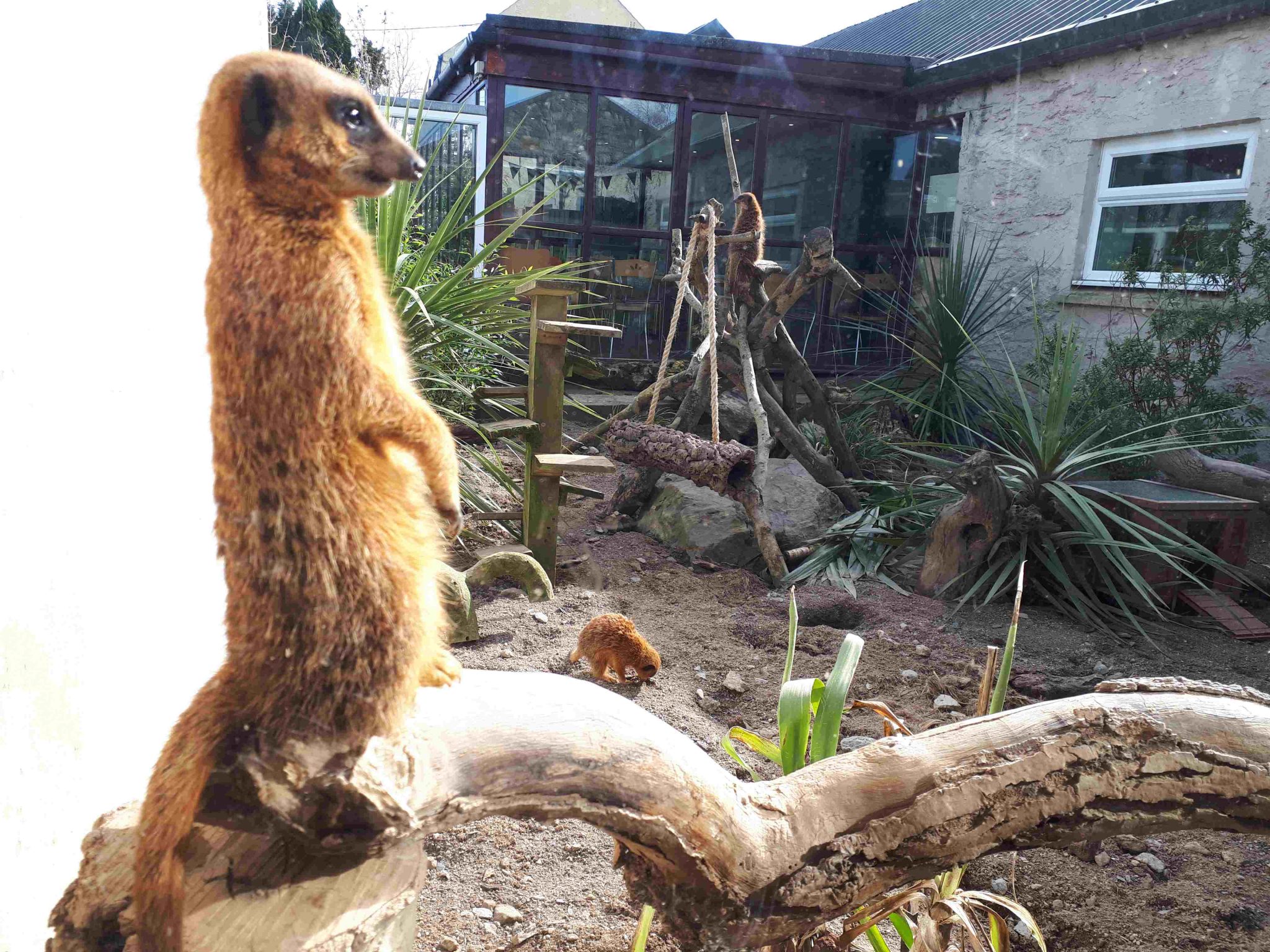 Pili Palas Nature World - Visit Anglesey